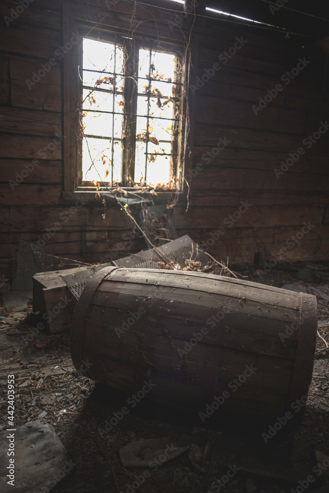 Horror background causing fear. Scary mystical mysterious dark attic ...