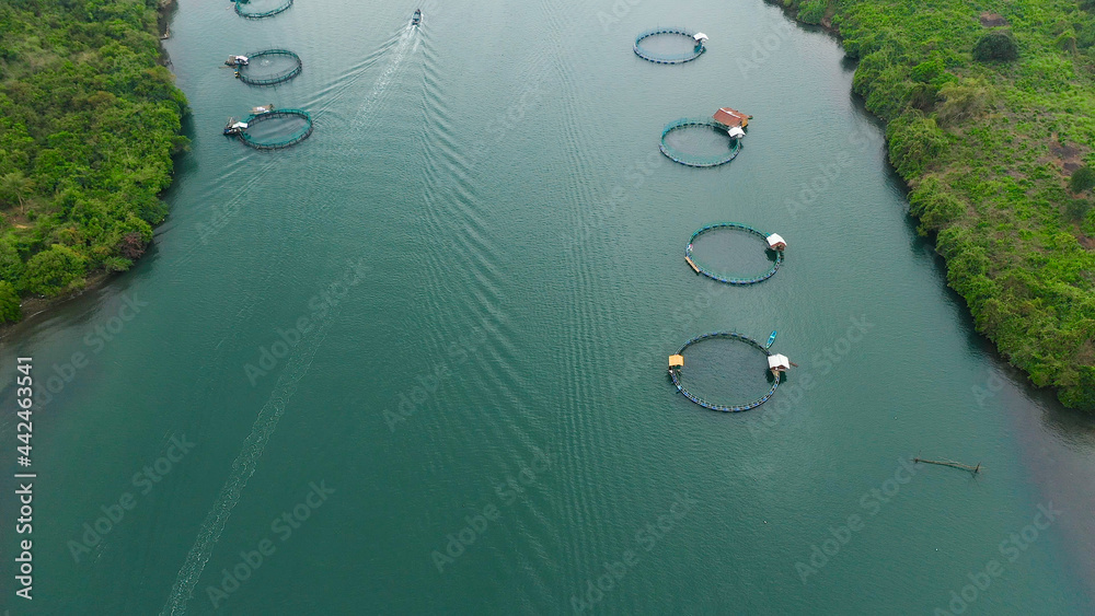Fisheries on Luzon Island, Philippines. Fish farm, top view. Aerial ...