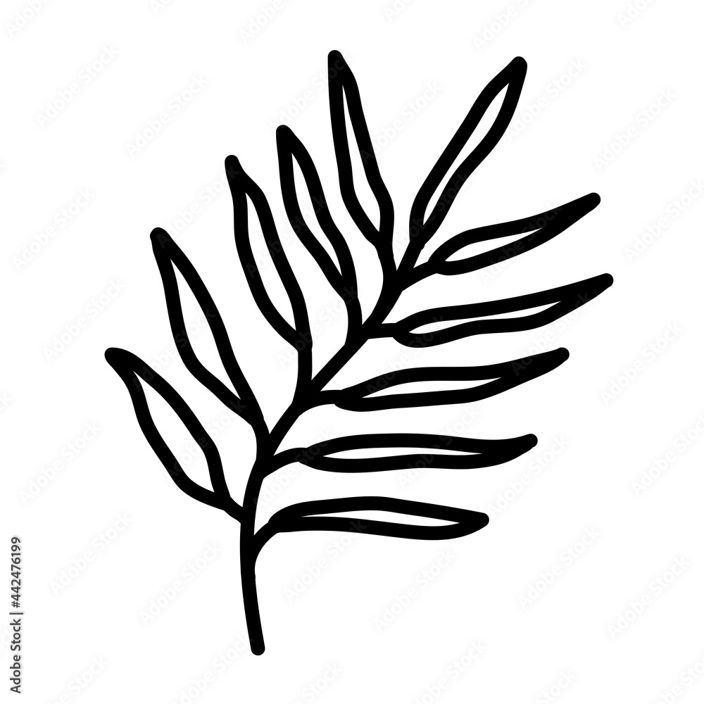 simple beauty branch curve leaf tree vector illustration icon design ...