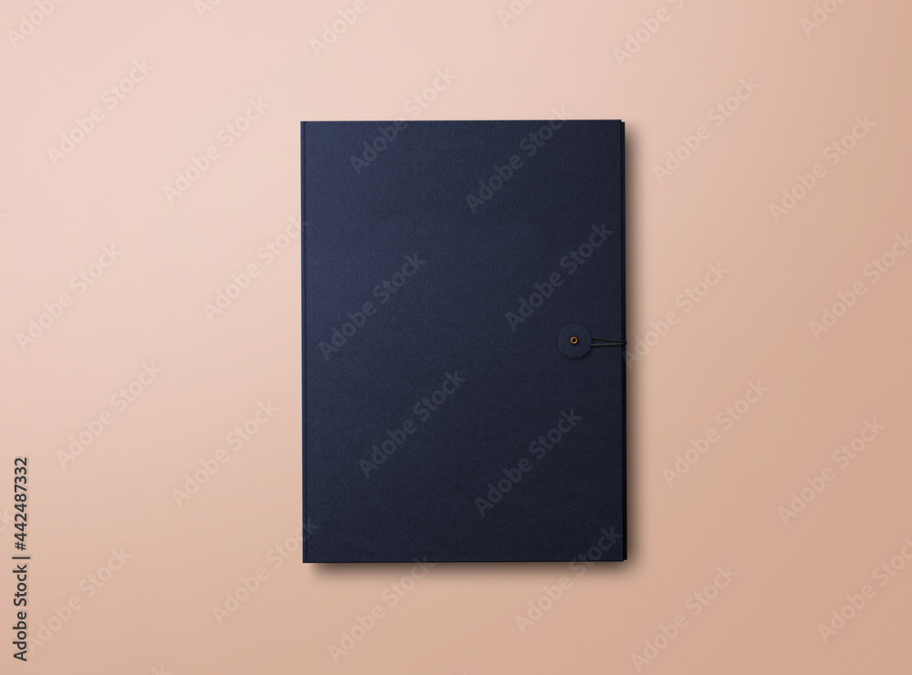 Realistic mock-up. Business folder on nude background. Template for ...
