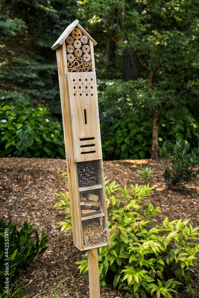 Insect box in a garden attracts beneficial insects. Stock Photo | Adobe ...