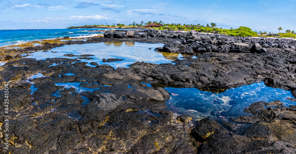 Tide Pools Formed In Ancient Lava Flows Near Wawahiaa Point, Honokohua ...
