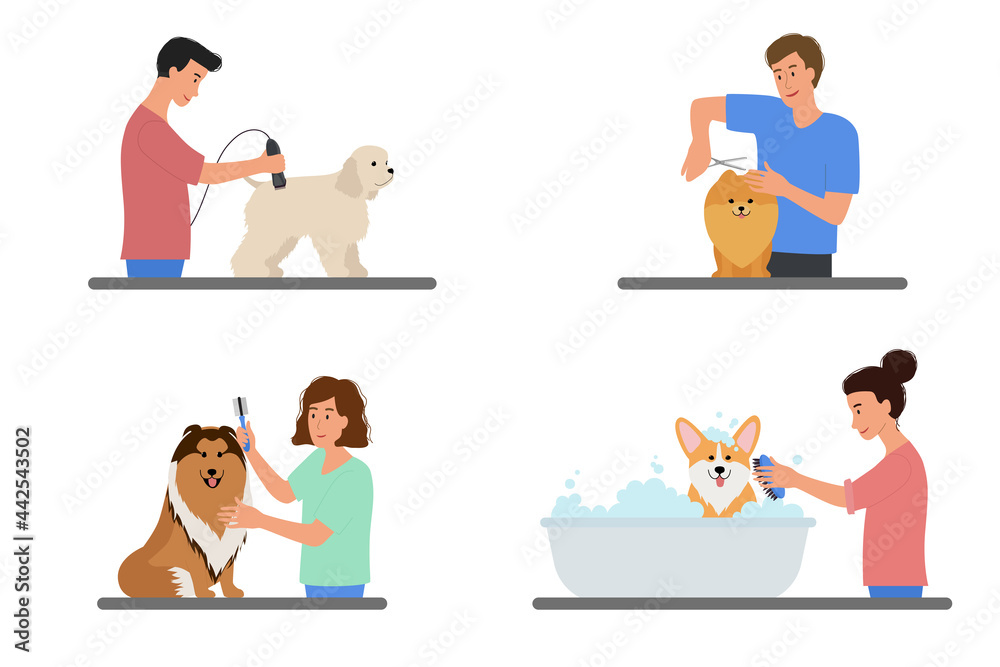 Collection of Scenes with people grooming dogs. Man and Women caring of ...