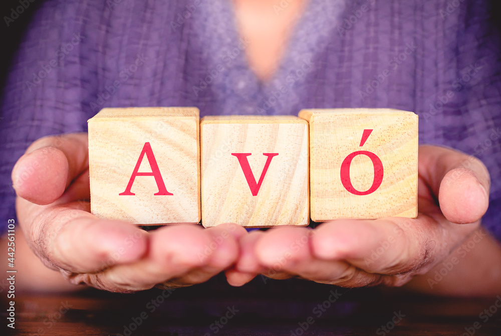 Avó. Palavra avó em português do Brasil em cubos de madeira com letras ...