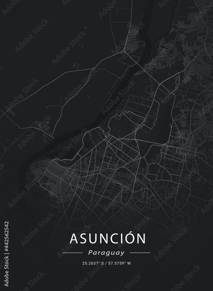 Map of Asuncion, Paraguay Stock Illustration | Adobe Stock