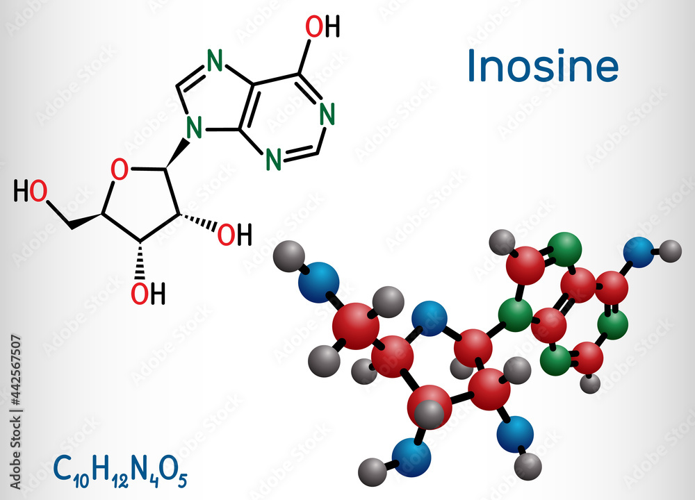 Inosine molecule. It is purine nucleoside, commonly occurs in tRNA ...
