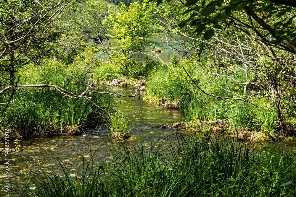 Path to Obersee Lake behind the Watzmann massif, Salet at Koenigssee ...