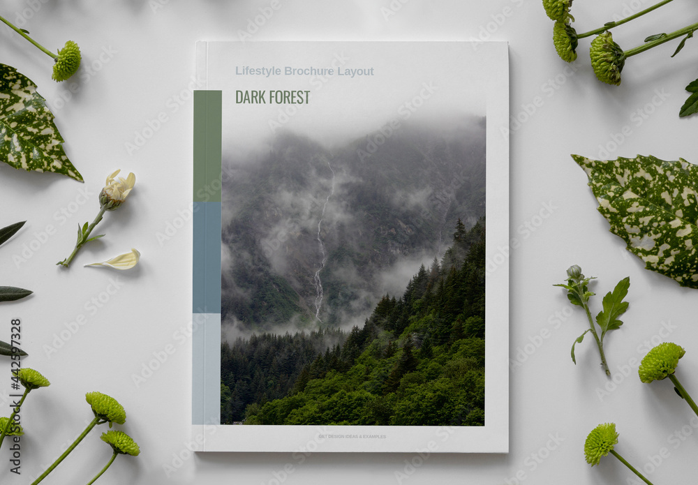 Green Forest Brochure Layout Stock Template | Adobe Stock