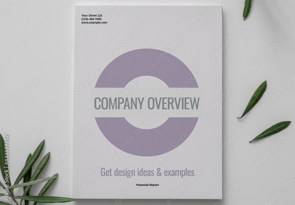 Company Overview Brochure Layout Stock Template | Adobe Stock