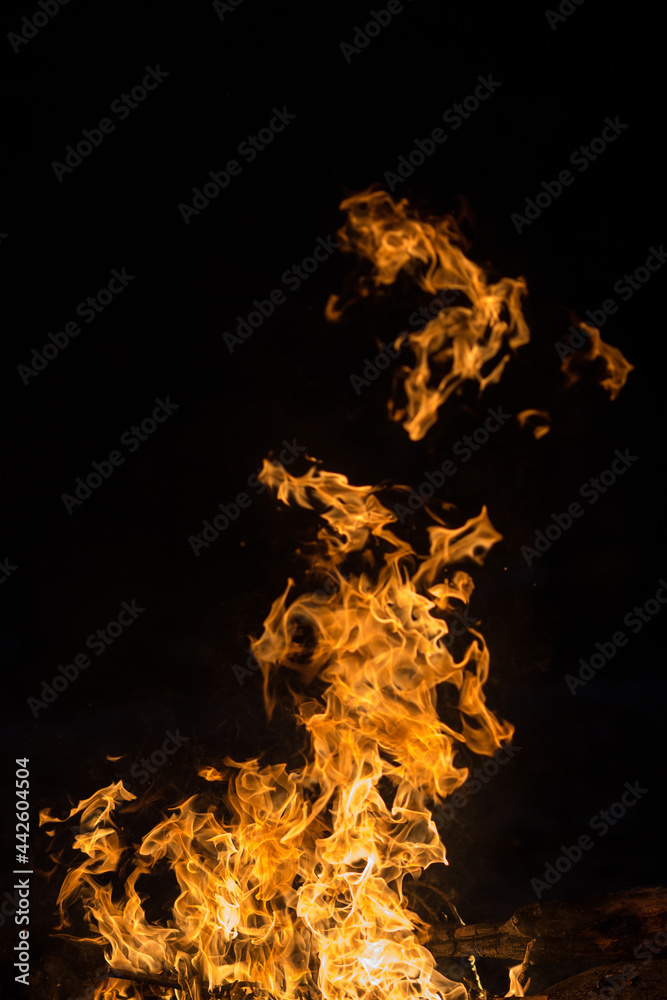 A bright bonfire on a solid black background. Flames of fire look like ...