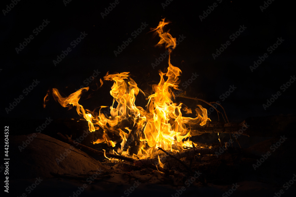 A bright bonfire on a solid black background. Flames of fire look like ...
