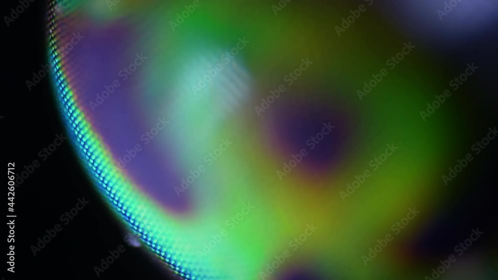 Macro sharp and detailed fly compound eye surface under microscope ...