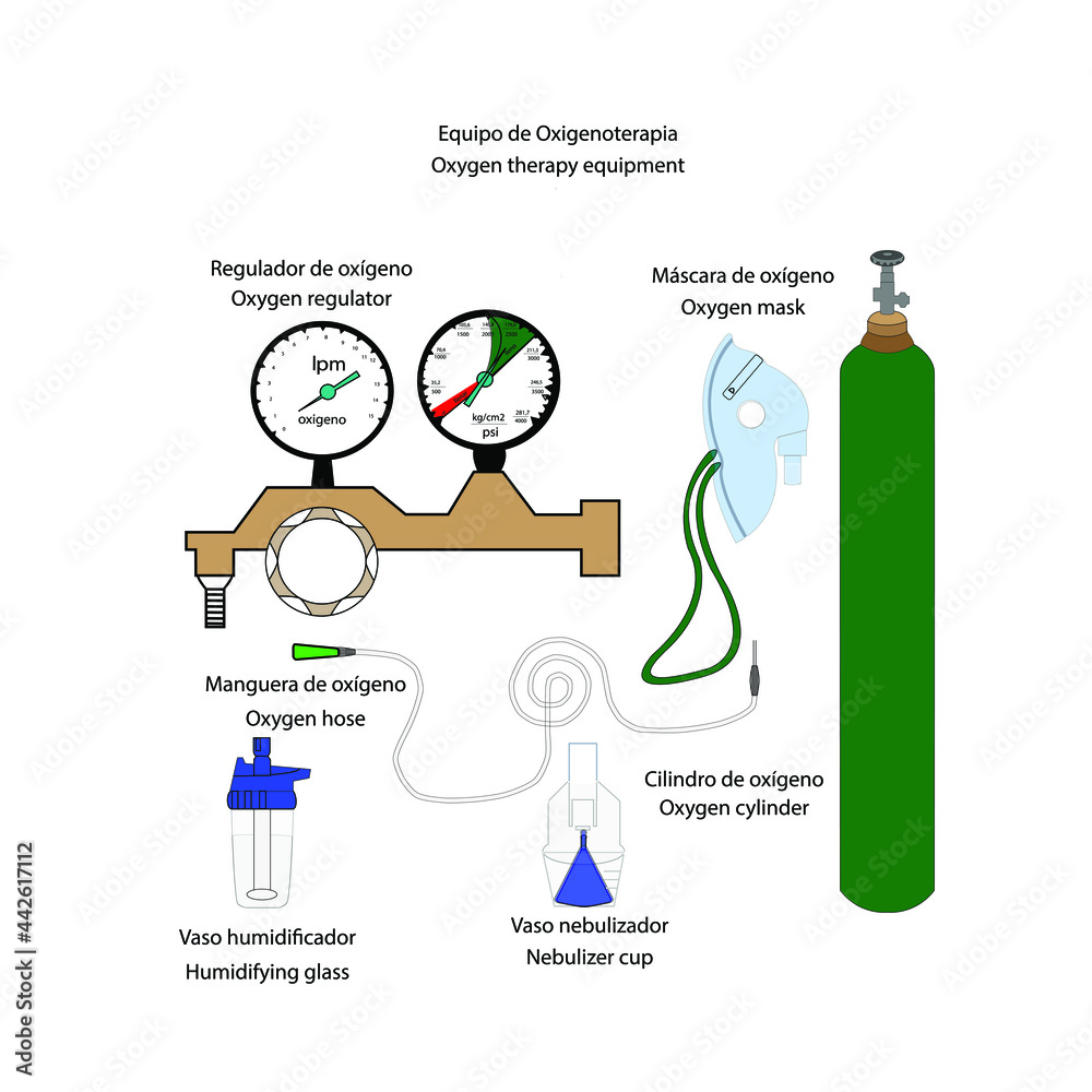 Equipo completo para el tratamiento de la oxígenoterapia vector Stock ...