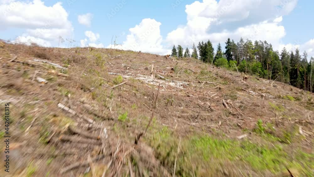 Arial view of deforestation and illegal logging in forest. Cutting ...