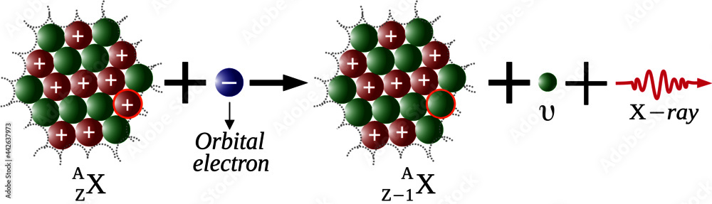 Electron capture is a mode of beta decay in which an electron of low ...