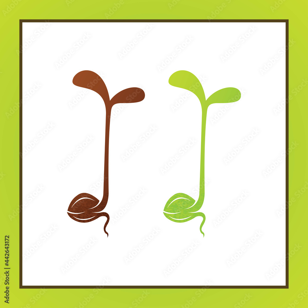 Green fresh plant sprout with roots vector illustration. Stock Vector ...