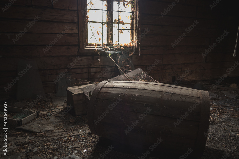 Horror background causing fear. Scary mystical mysterious dark attic ...