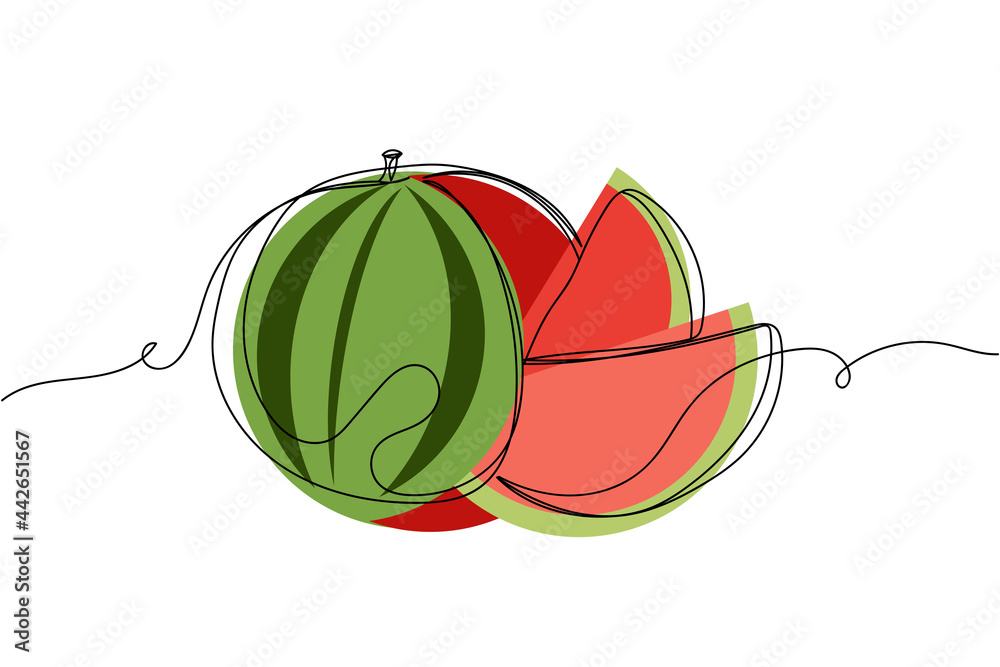 Continuous one line of watermelon in silhouette on a white background ...