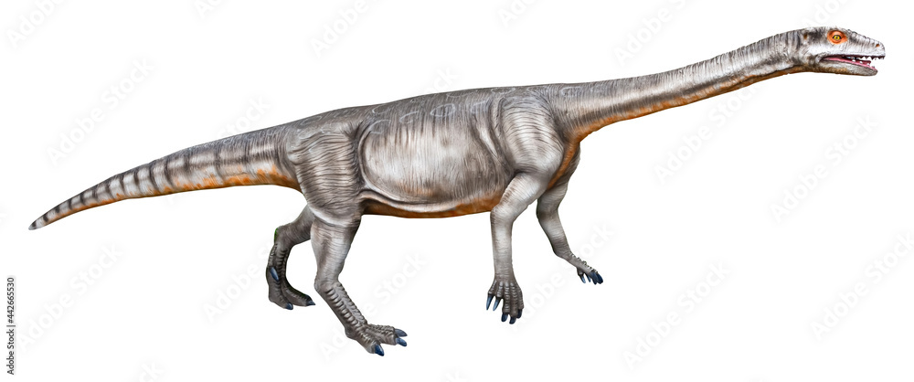 Massospondylus is a herbivore genus of Sauropodomorph dinosaurs from ... Massospondylus is a herbivore genus of Sauropodomorph dinosaurs from ...