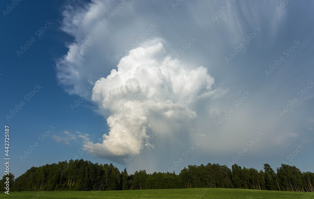 Cumulonimbus capillatus incus cloud, isolated storm cloud Stock Photo ...
