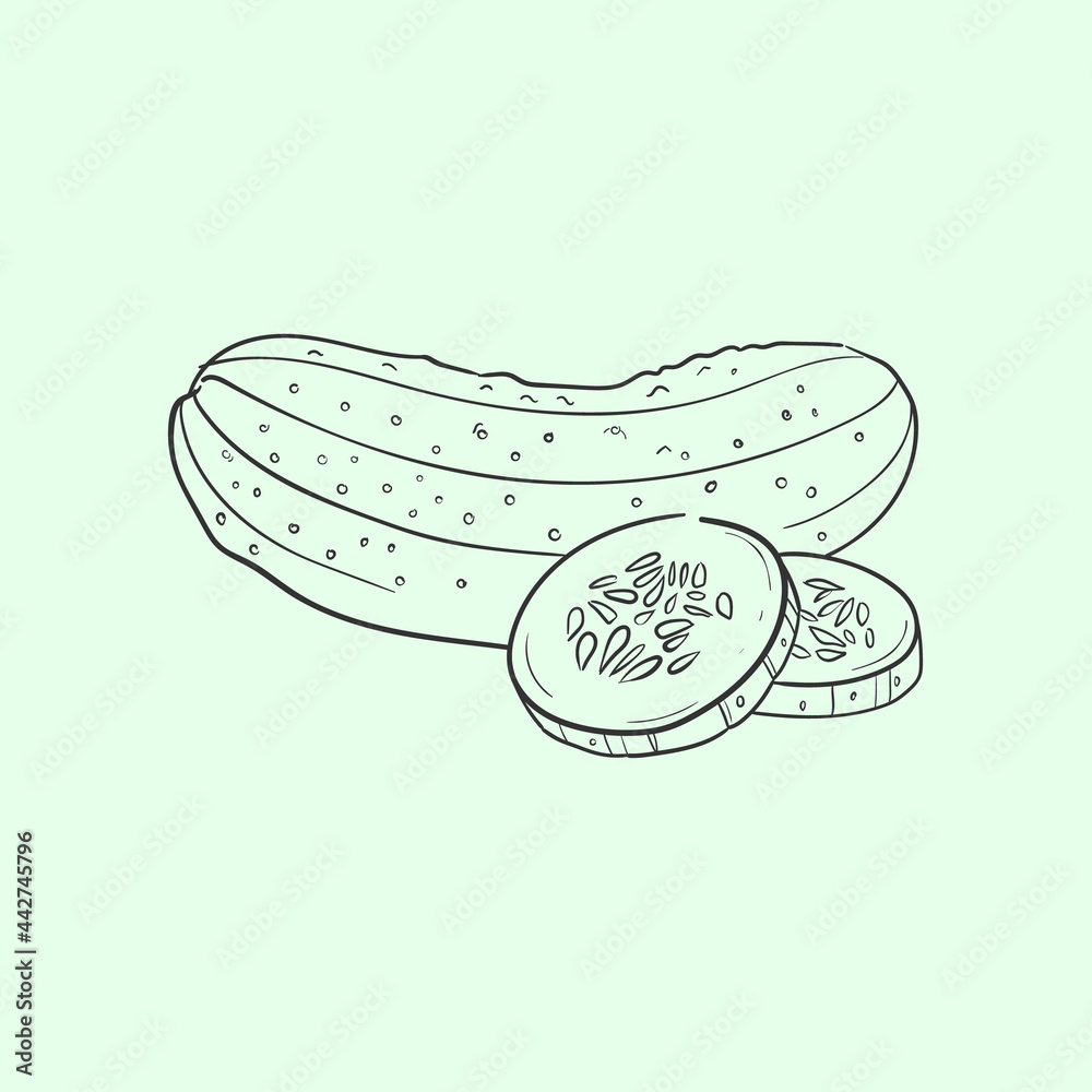 Cucumber Line vector illustration. Detailed Food icon for mobile ...