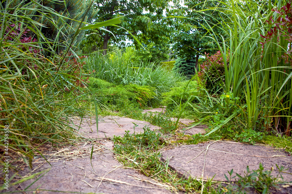 rough different shapes of natural stone path paved in green backyard ...