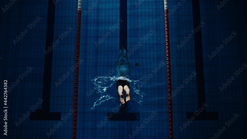 Video Stock Aerial Top View Male Swimmer Jumps, Dives into Swimming ...
