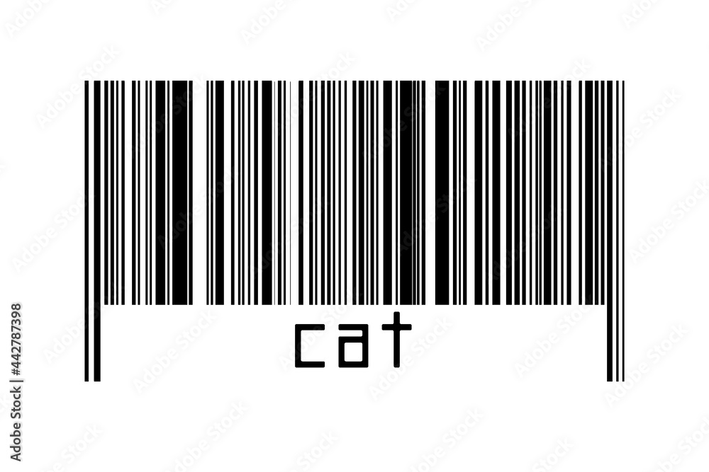 Digitalization concept. Barcode of black horizontal lines with ...