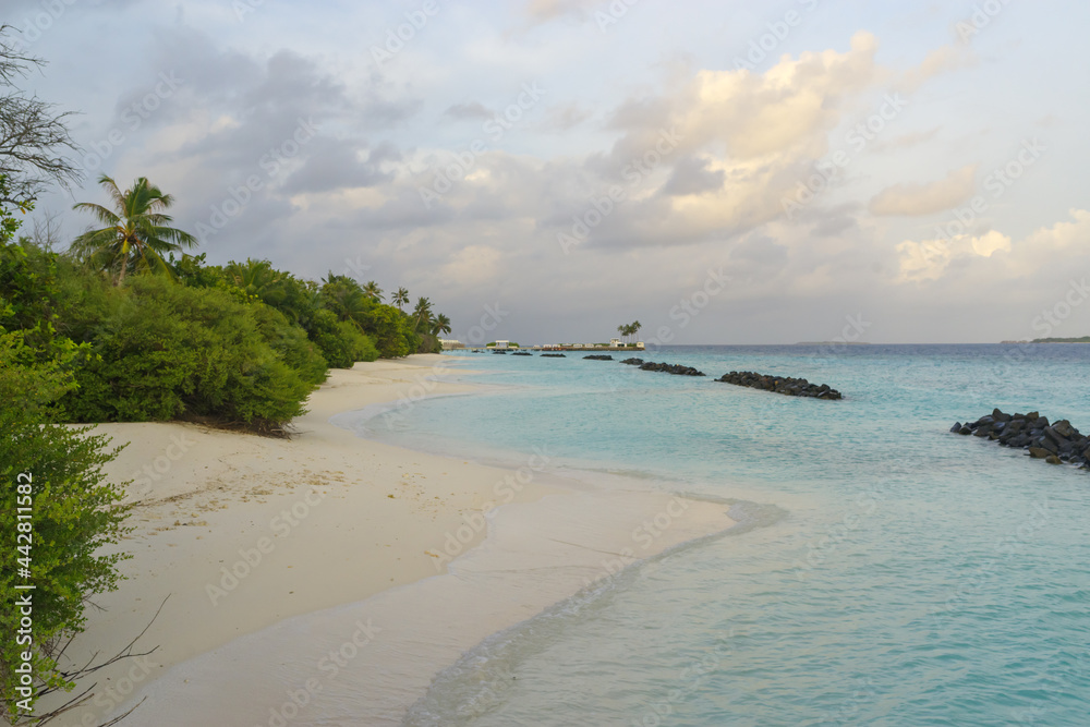 Snow-white and wet sand on the ocean, crystal clear water and bushes on ...