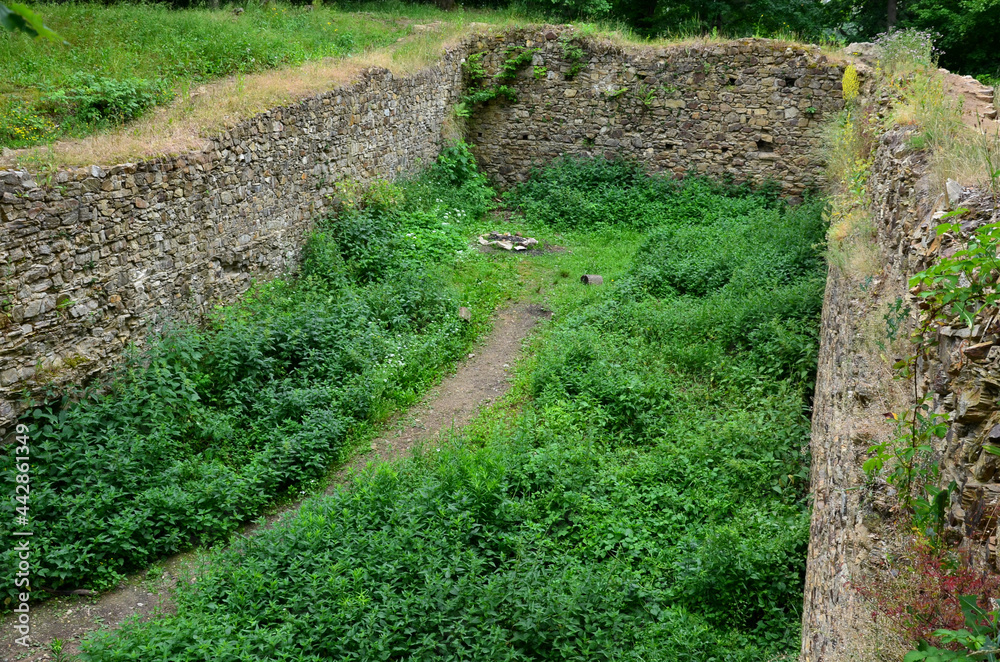 main palace of the medieval castle palace from the ruined tdi around ...
