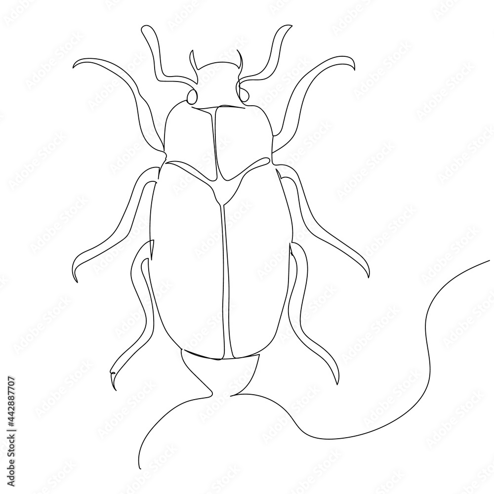 beetle drawing by one continuous line sketch, isolated Stock Vector ...