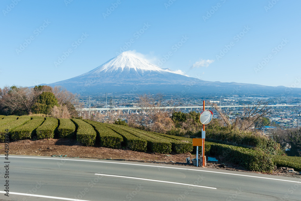 Mount Fuji with snow and green tea plantation in Yamamoto, Fujinomiya ...