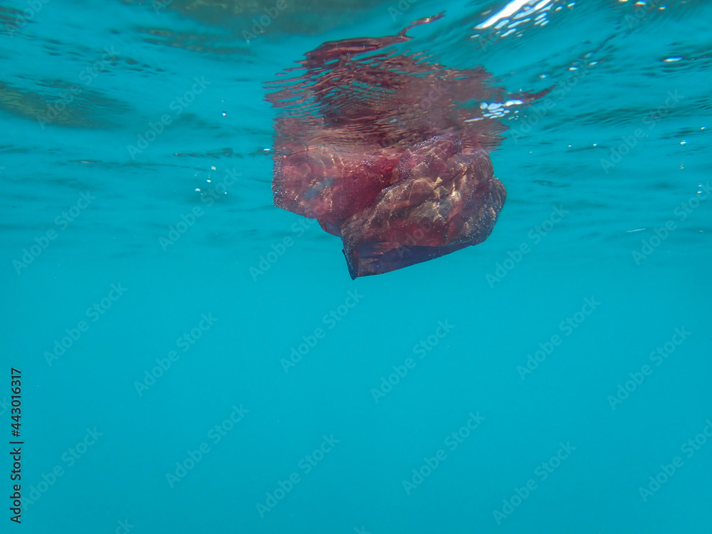 Underwater plastic bag Pollution of the ocean and sea, plastic waste ...