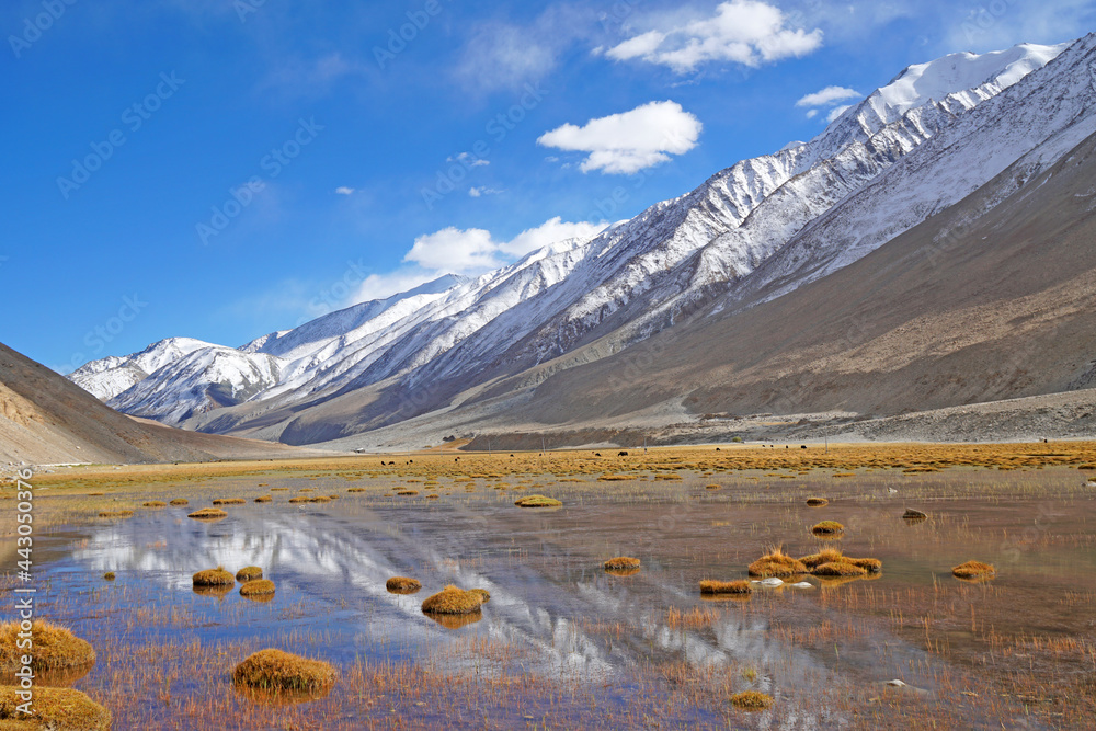 Nature scene - Landscape of yellow grass meadow and waterway with snow ...