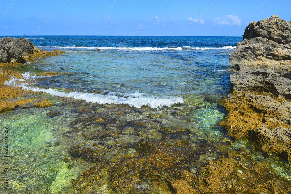 Hof Dor - Beach Nature Reserve, picturesque beach, a coastal strip with ...
