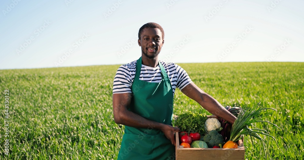 Portrait of multiracial male farmer walking through the large green ...
