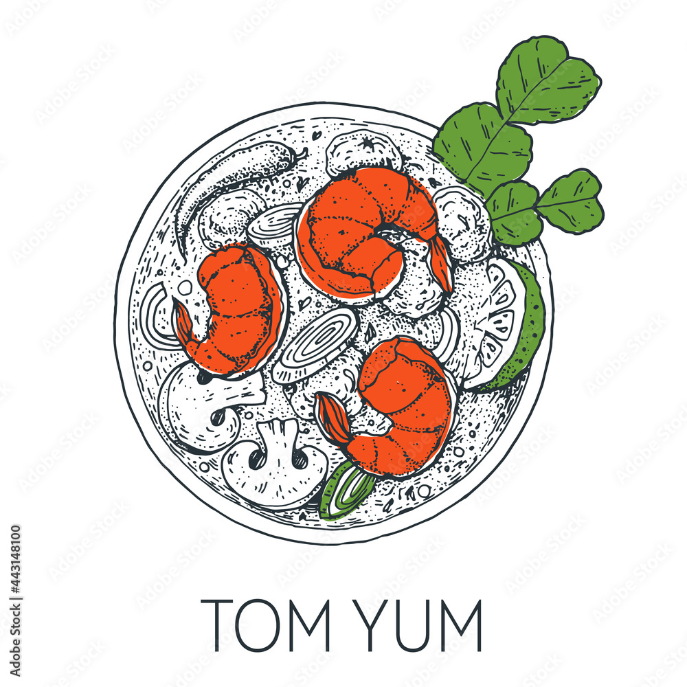 Tom yum, thai food. Hand drawn vector illustration. Sketch style. Top ...