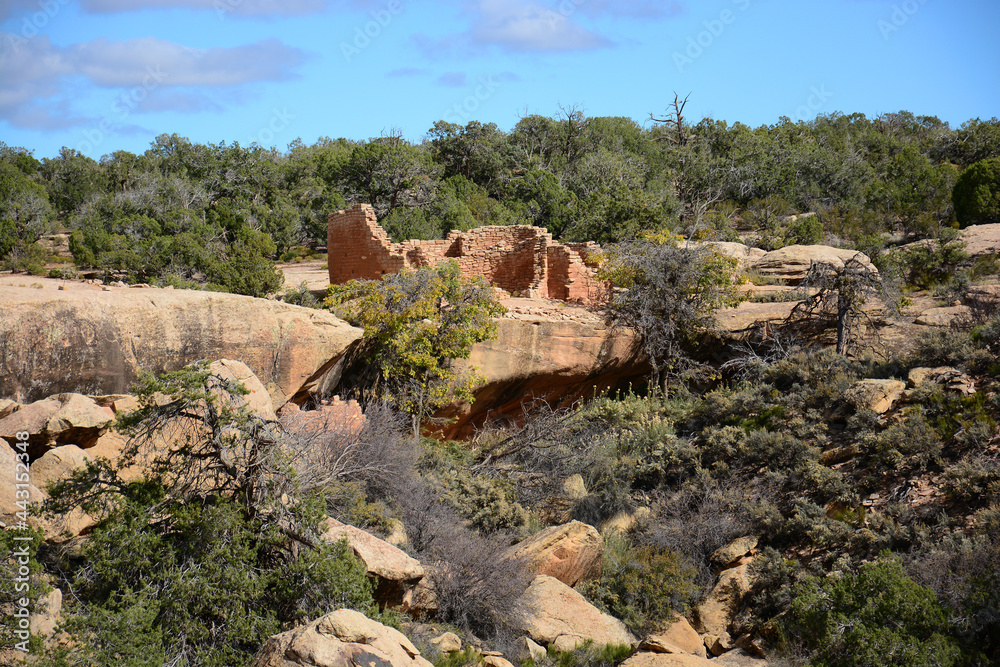 ancient native american square tower unit trail ruins in hovenweep ...