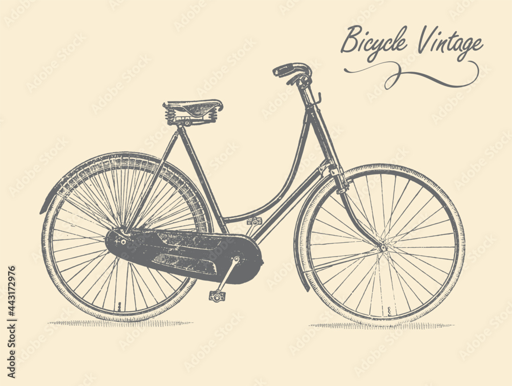 Old classic vintage bicycle. Vector Stock Vector | Adobe Stock