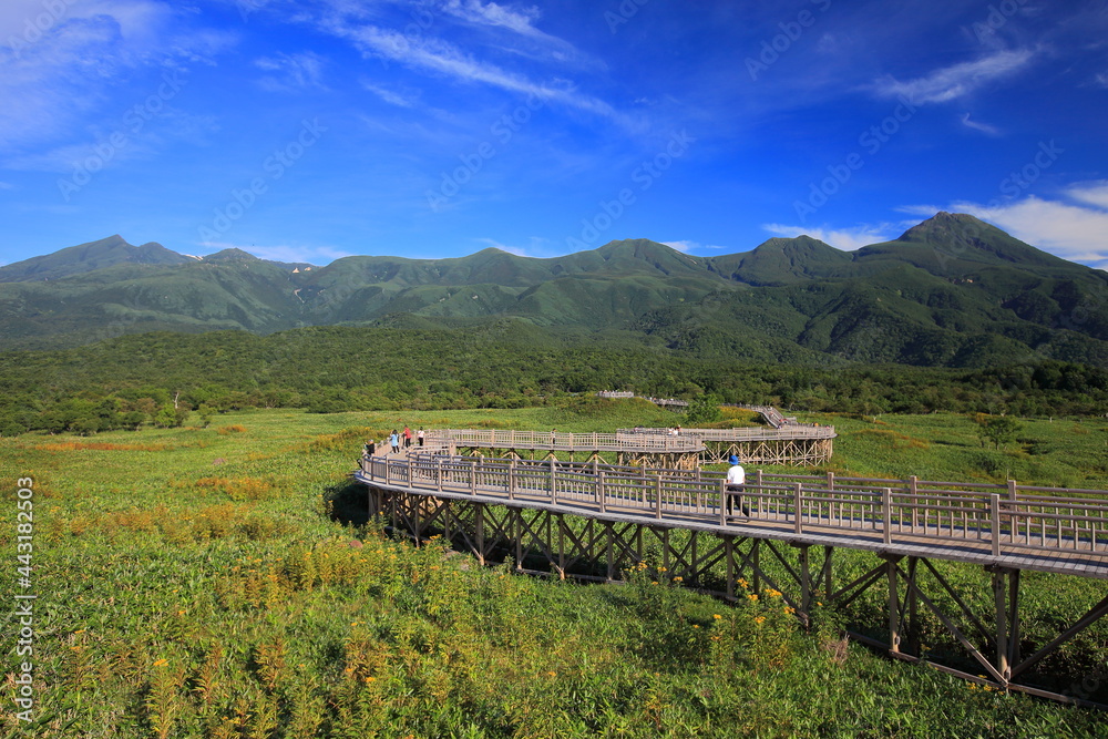 Mt.Rausu, Shiretoko Peninsula, world Heritage 真夏の知床半島、羅臼岳登山 Stock Photo ...