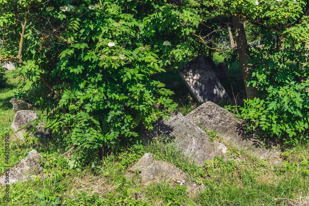 Ukraine, Busk - june, 2021: Old headstones (grave markers, tombstones ...