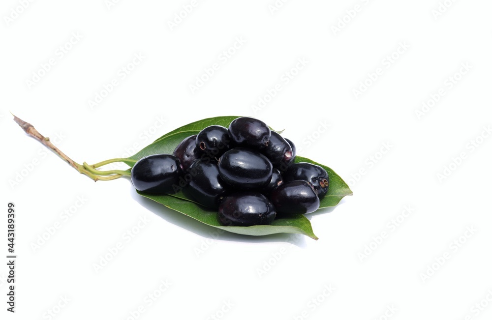 Jamun or Black Plum Isolated on White Background with Leaves, Also ...