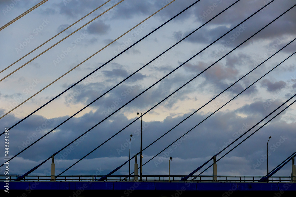 Russian bridge across the Eastern Bosphorus Strait in Vladivostok ...