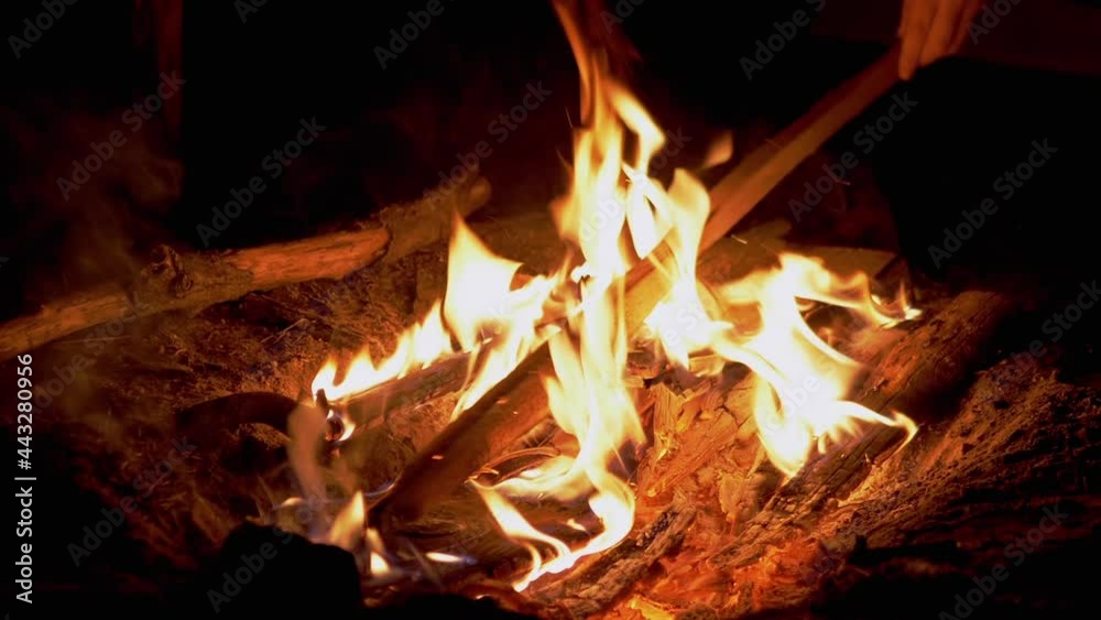 Male in Forest Throws Sticks, Branches, Firewood in a Burning, Night ...