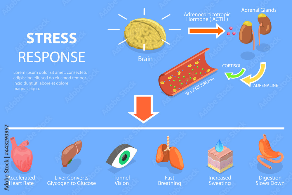 3D Isometric Flat Vector Conceptual Illustration of Stress Response ...