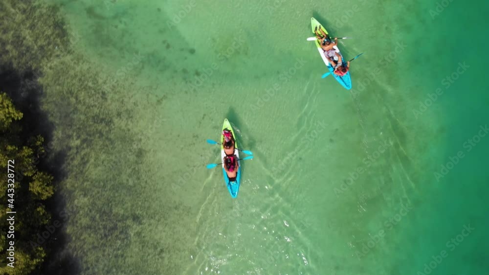 Tracking shot of people kayaking in Al Reem mangroves. Aerial, birds ...