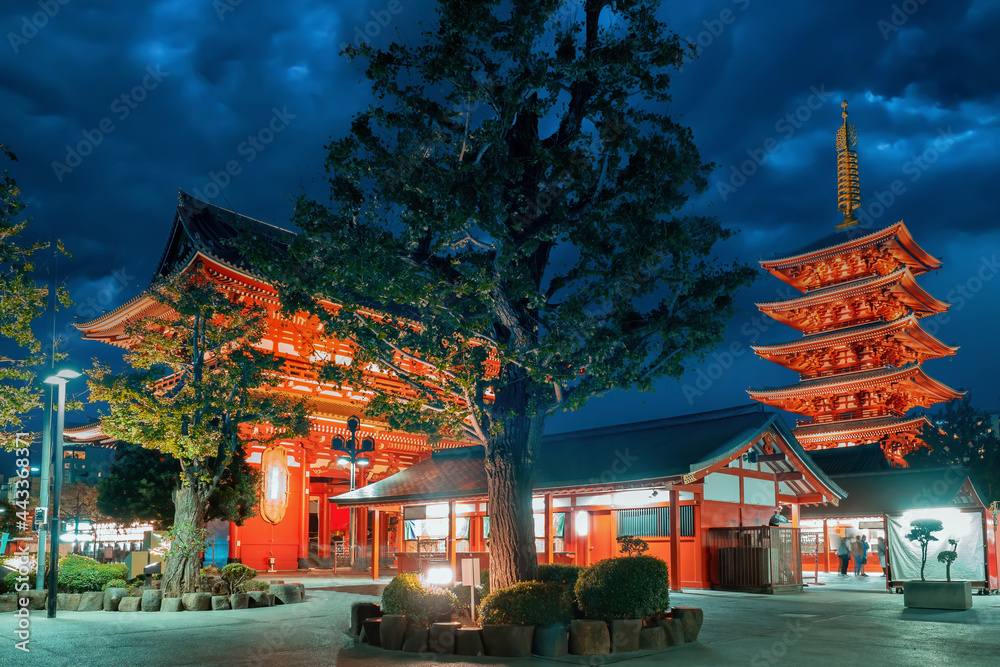 Japan culture. Night Tokyo. Asakusa temple in evening. Cultural ...
