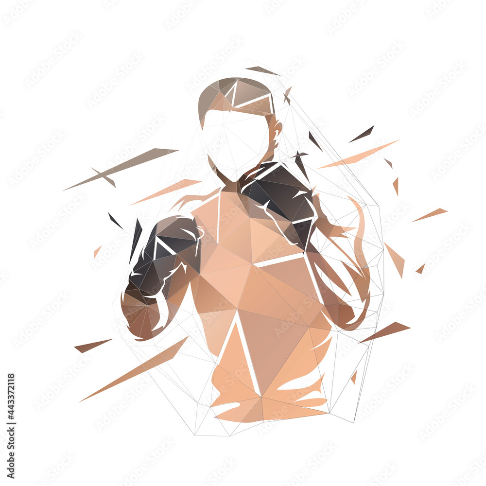 Fighter logo, boxing isolated low polygonal vector illustration ...