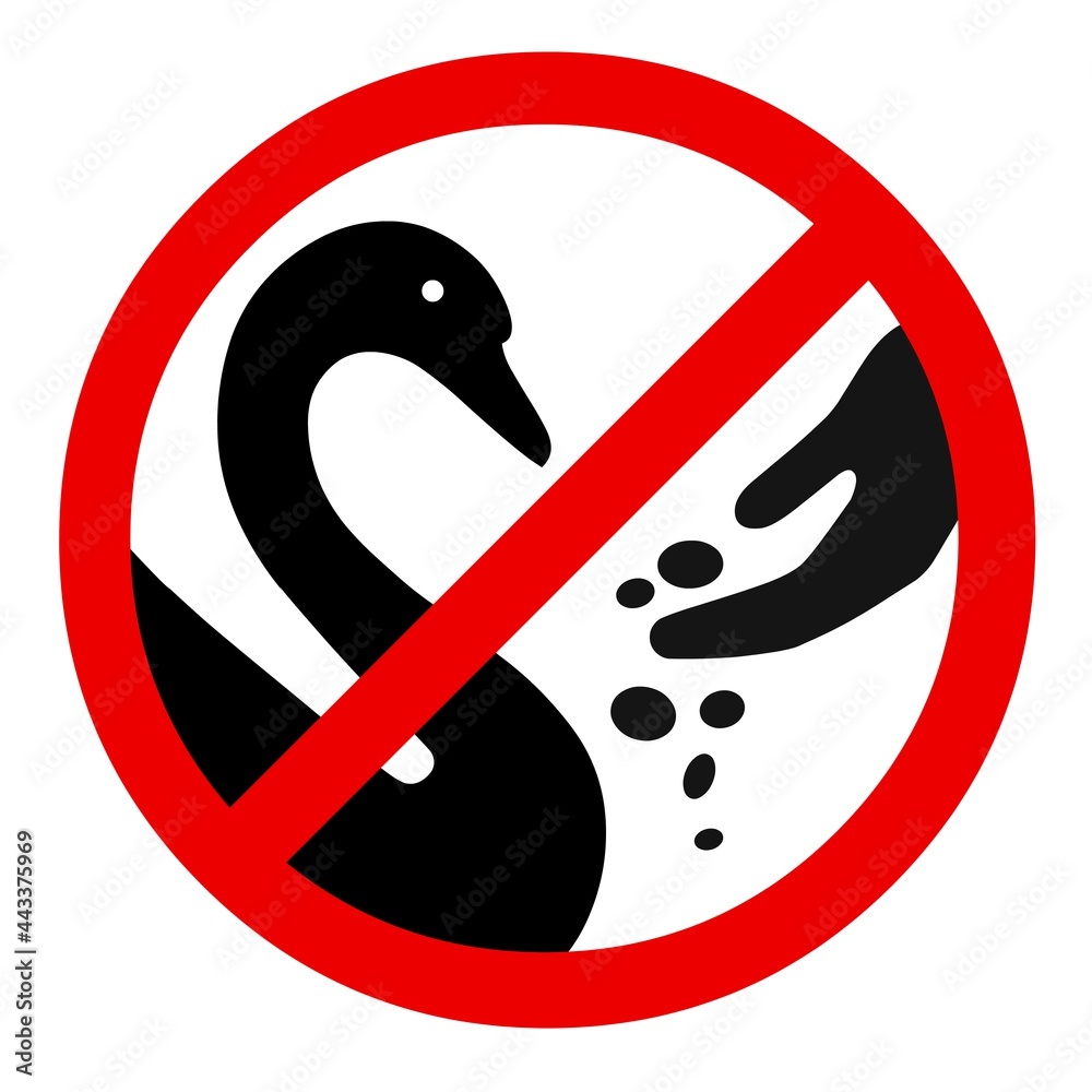 Warning sign prohibiting feeding birds. It is forbidden to feed swans ...