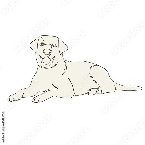 Dog Lying Down Drawing